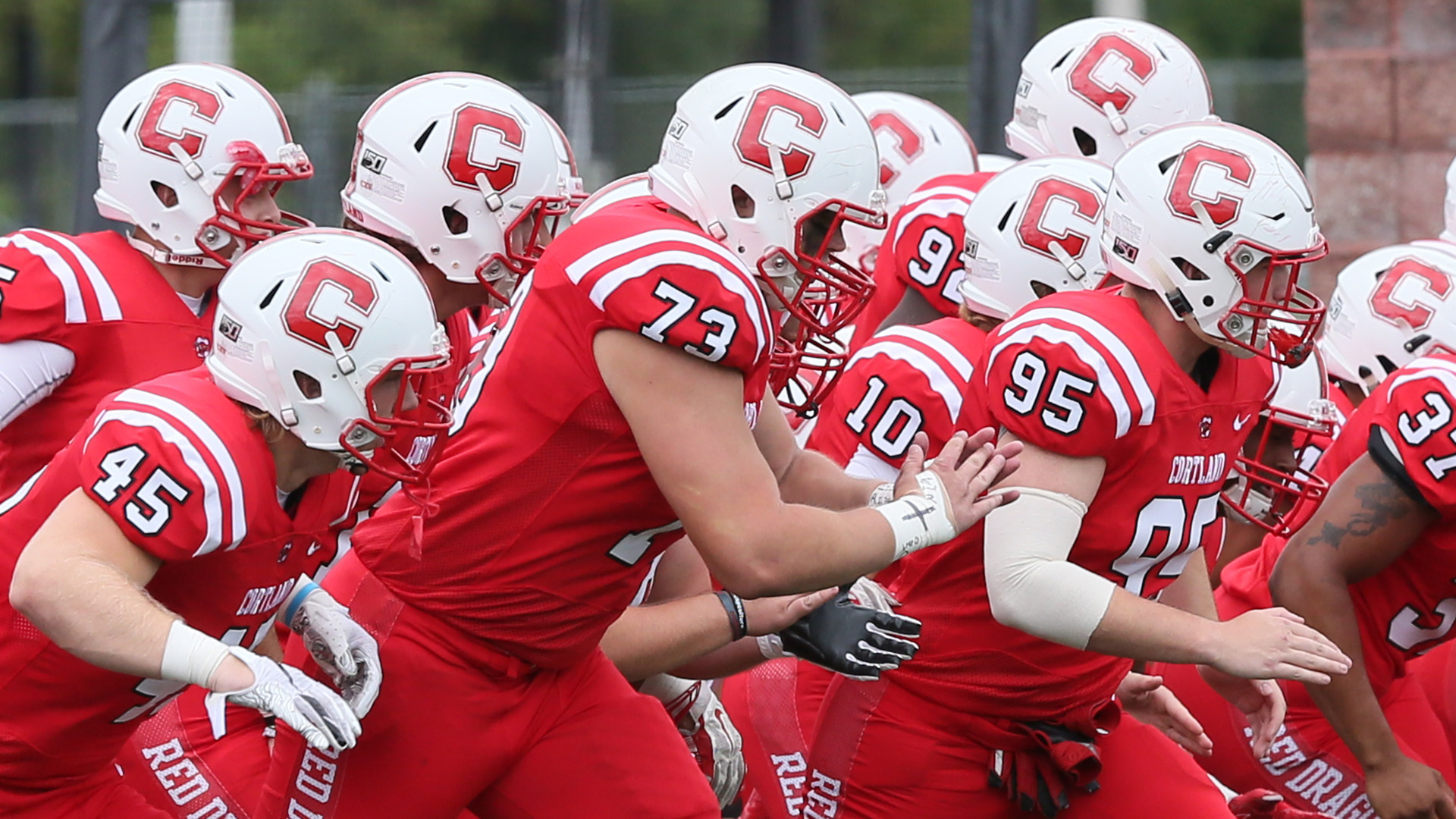 Sean Dall - 2019 - Football - SUNY Cortland Athletics