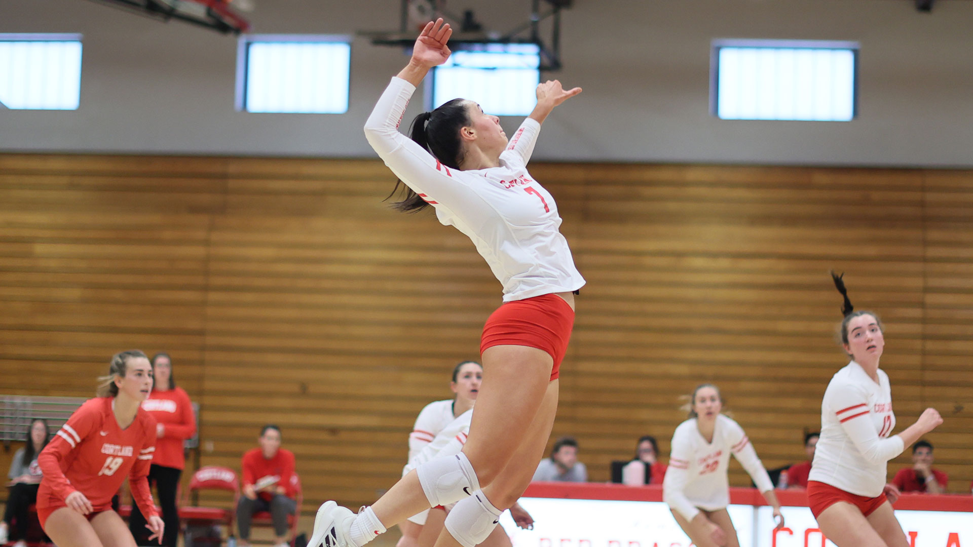 Allie Sturgess - 2023 - Women's Volleyball - SUNY Cortland Athletics