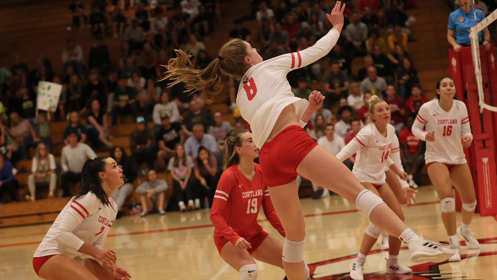 Cortland Rallies for Five-Set Win vs. Springfield to Start Kean Tourney ...