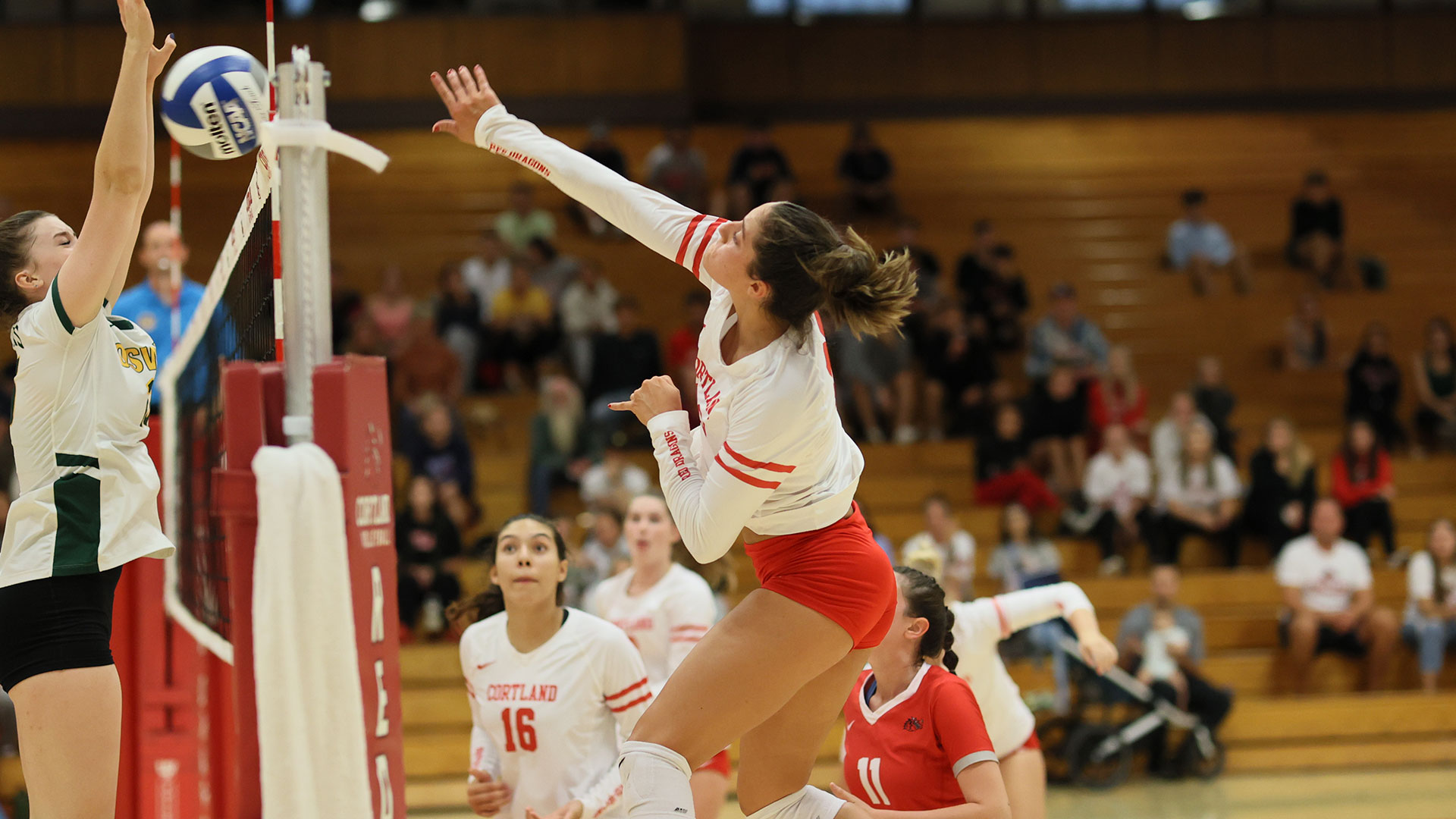 Giovanna Rossi - 2023 - Women's Volleyball - SUNY Cortland Athletics