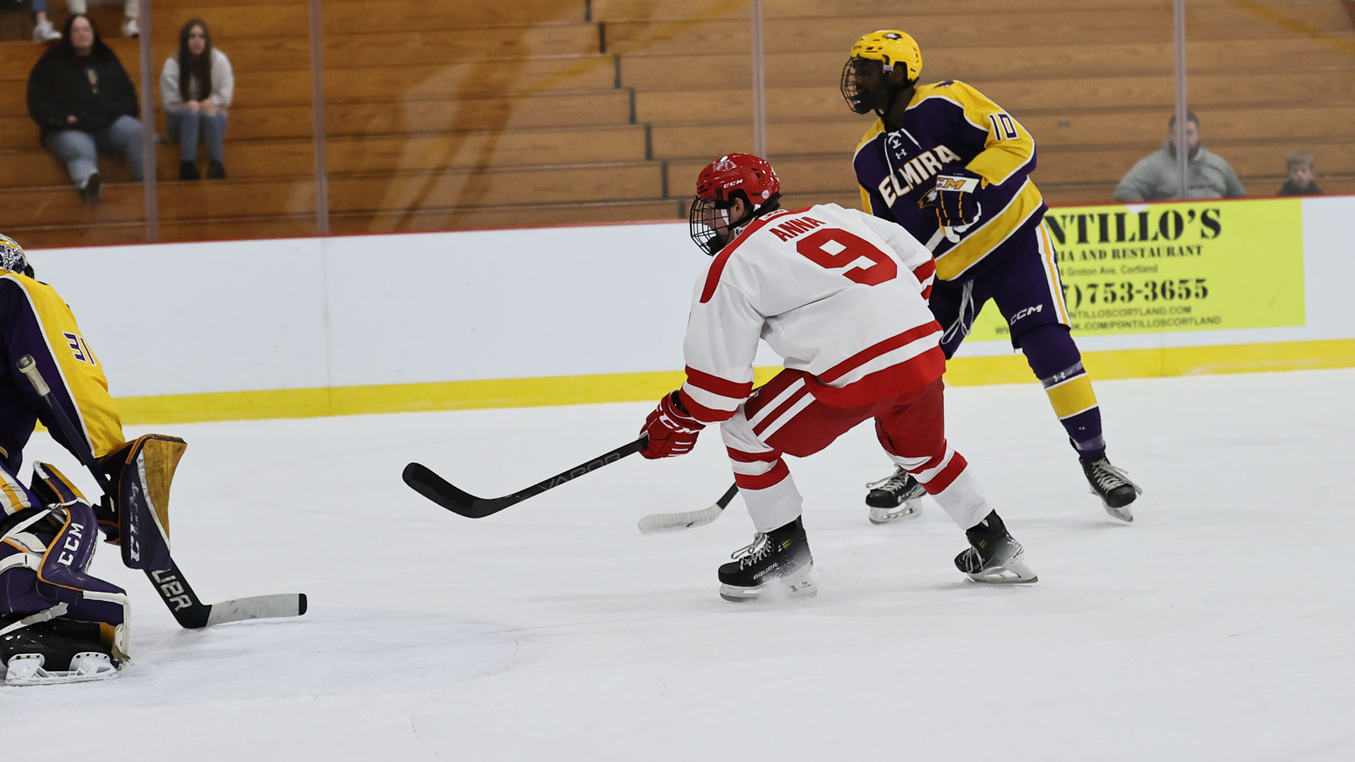 Colin Anna - 2023-24 - Men's Ice Hockey - SUNY Cortland Athletics