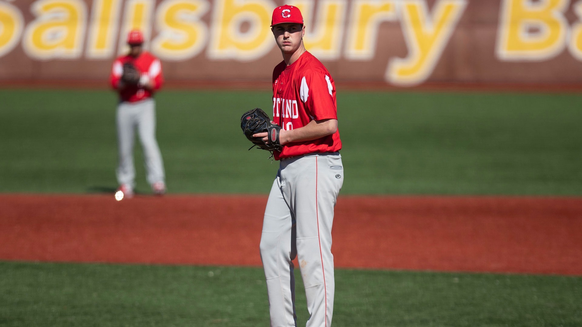 Will McCarthy - 2024 - Baseball - SUNY Cortland Athletics