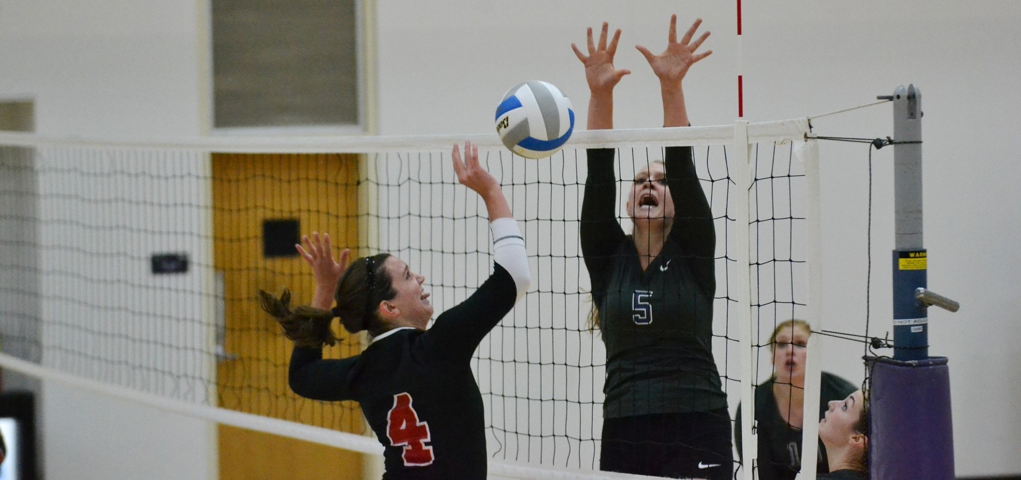 Katie Hinkle - 2016 - Volleyball - Crown College Athletics