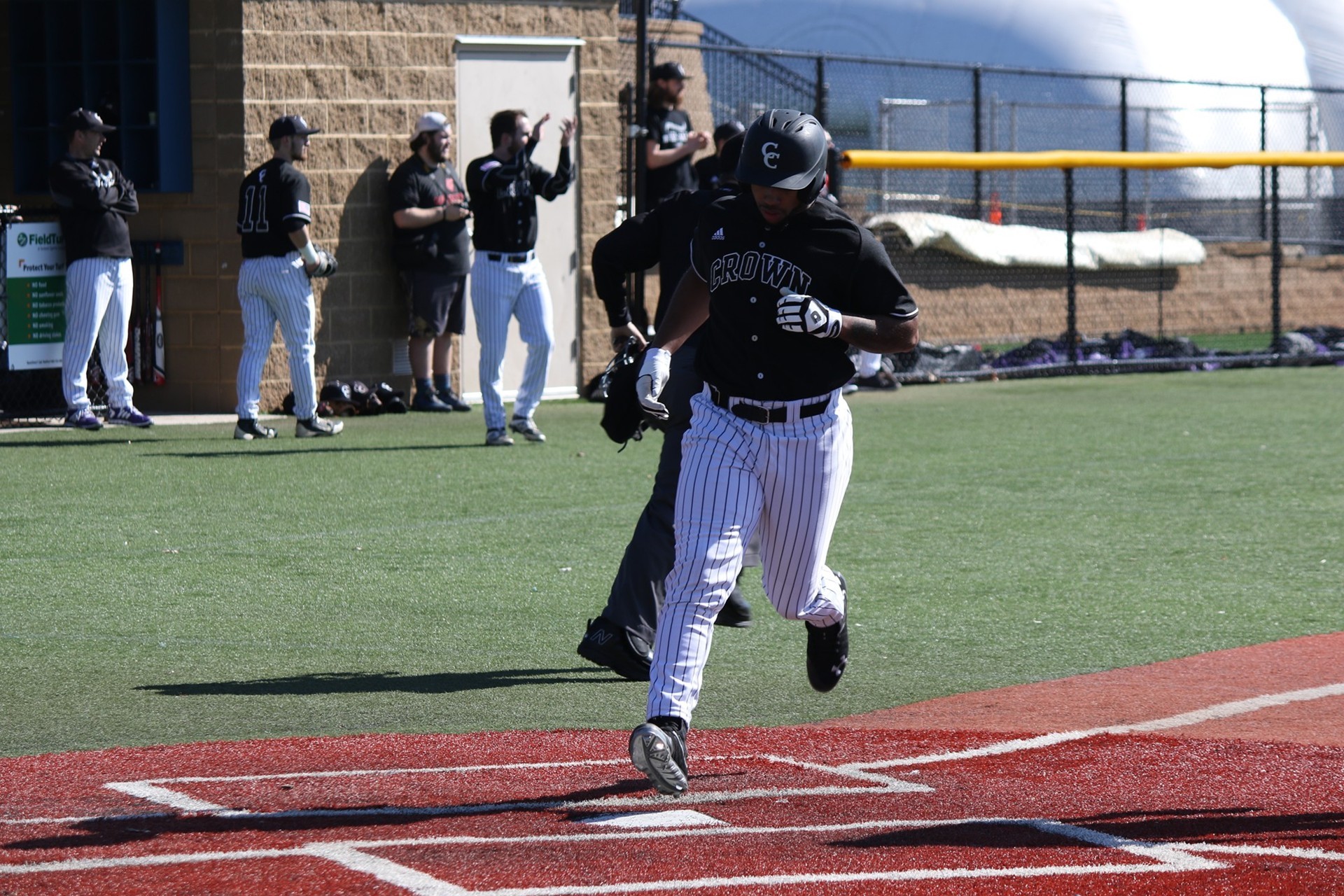 David Cruz - 2017 - Baseball - Crown College Athletics
