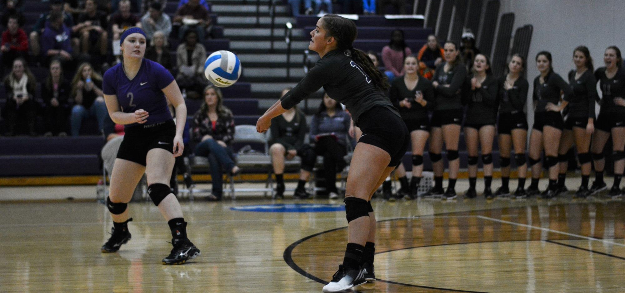 Josie Parker - 2017 - Volleyball - Crown College Athletics