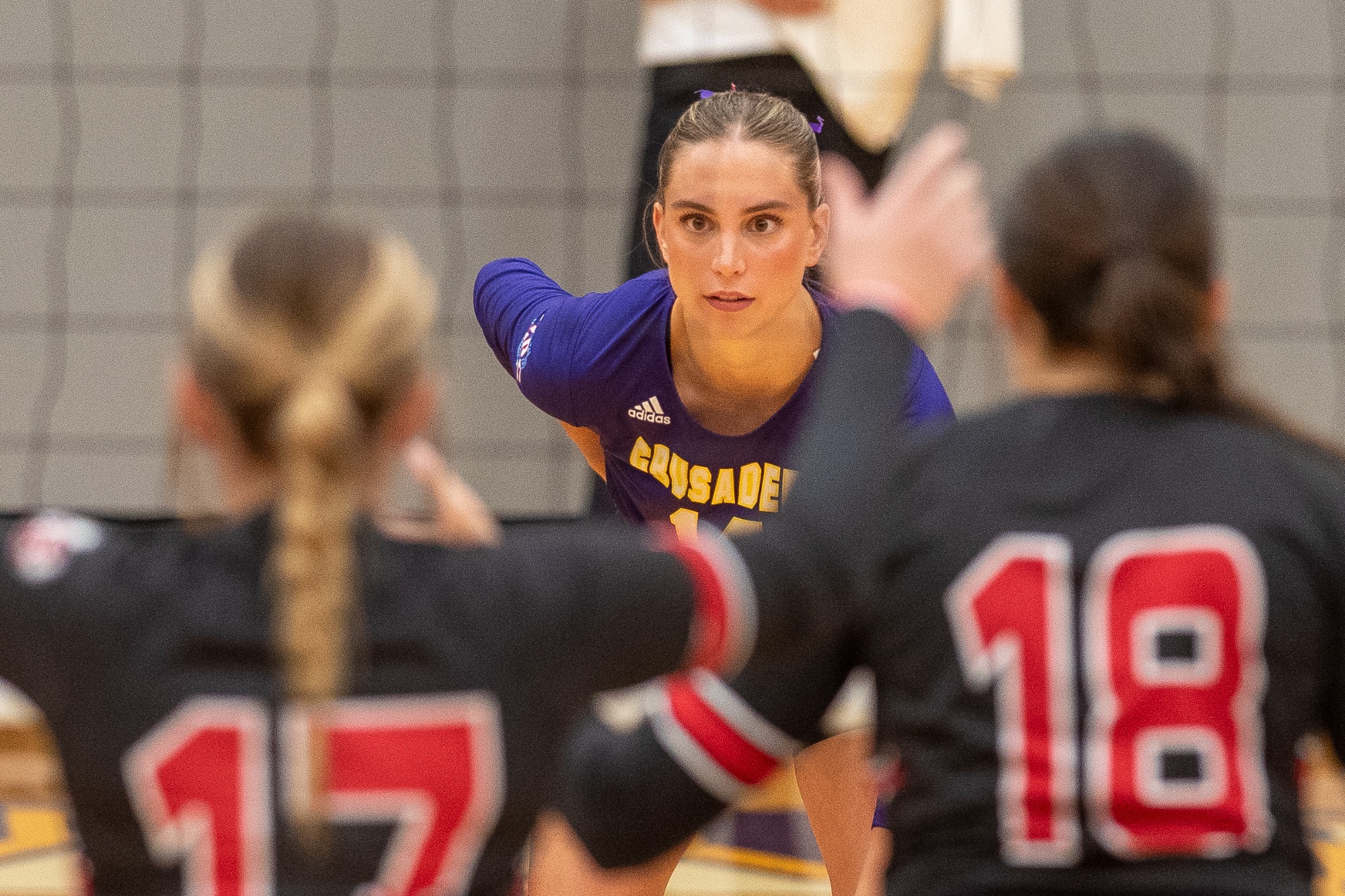Volleyball hits 20+ wins with victories over LeTourneau University and ...