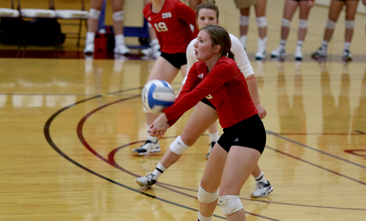Allison Roehl - Women's Volleyball - College of Saint Benedict Athletics