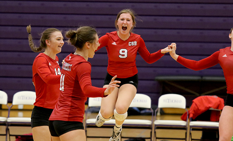Allison Roehl - Women's Volleyball - College of Saint Benedict Athletics