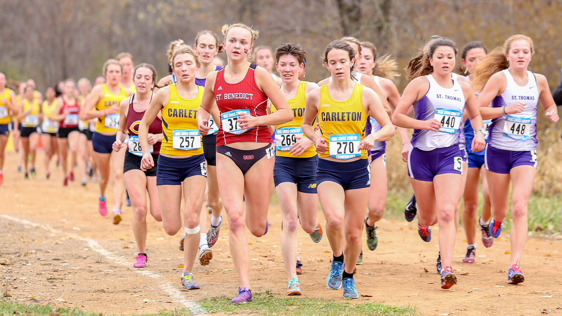Abby Goff - Women's Cross Country - College of Saint Benedict Athletics