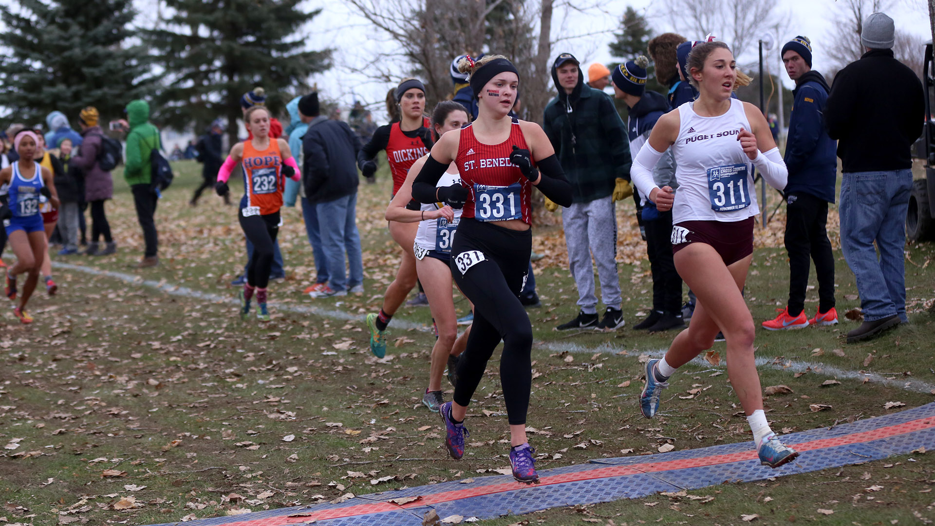 Abby Goff - Women's Cross Country - College of Saint Benedict Athletics