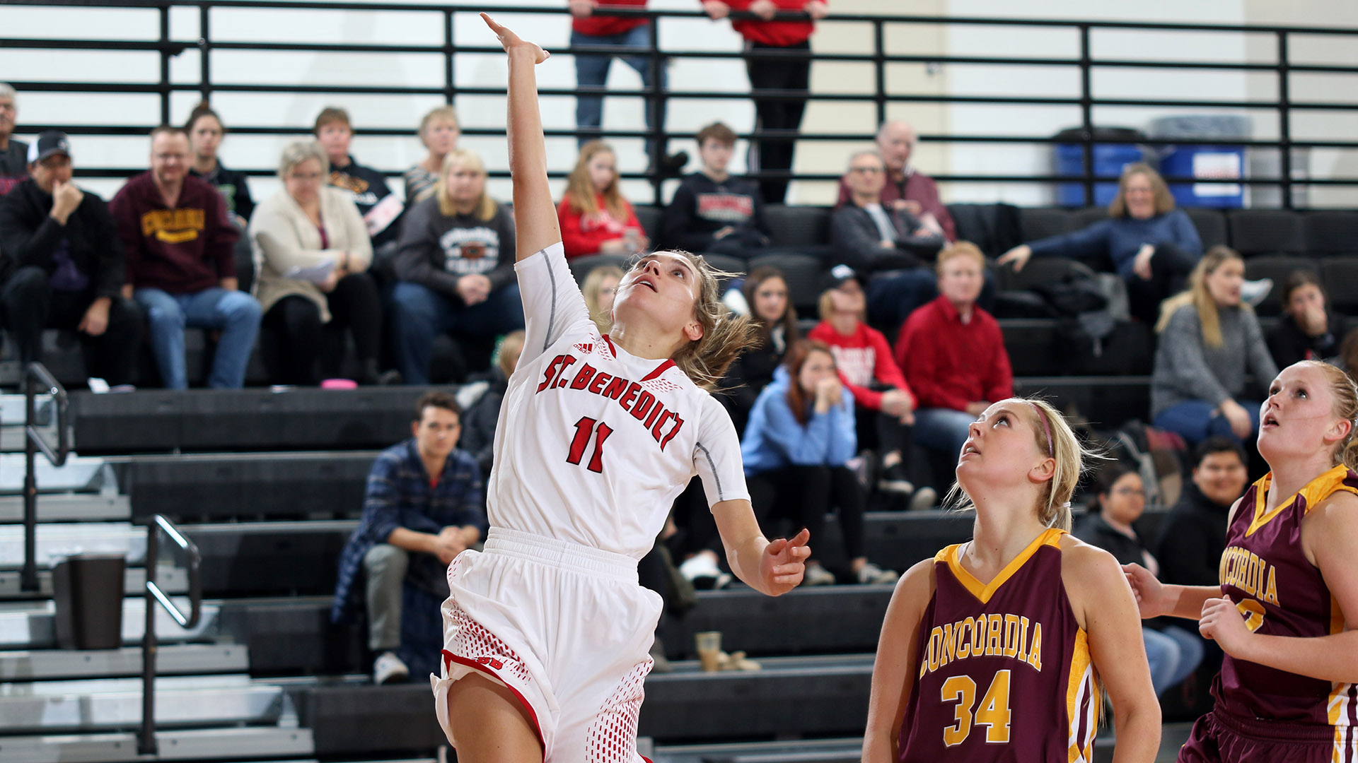 Megan Thompson - Women's Basketball - College of Saint Benedict Athletics
