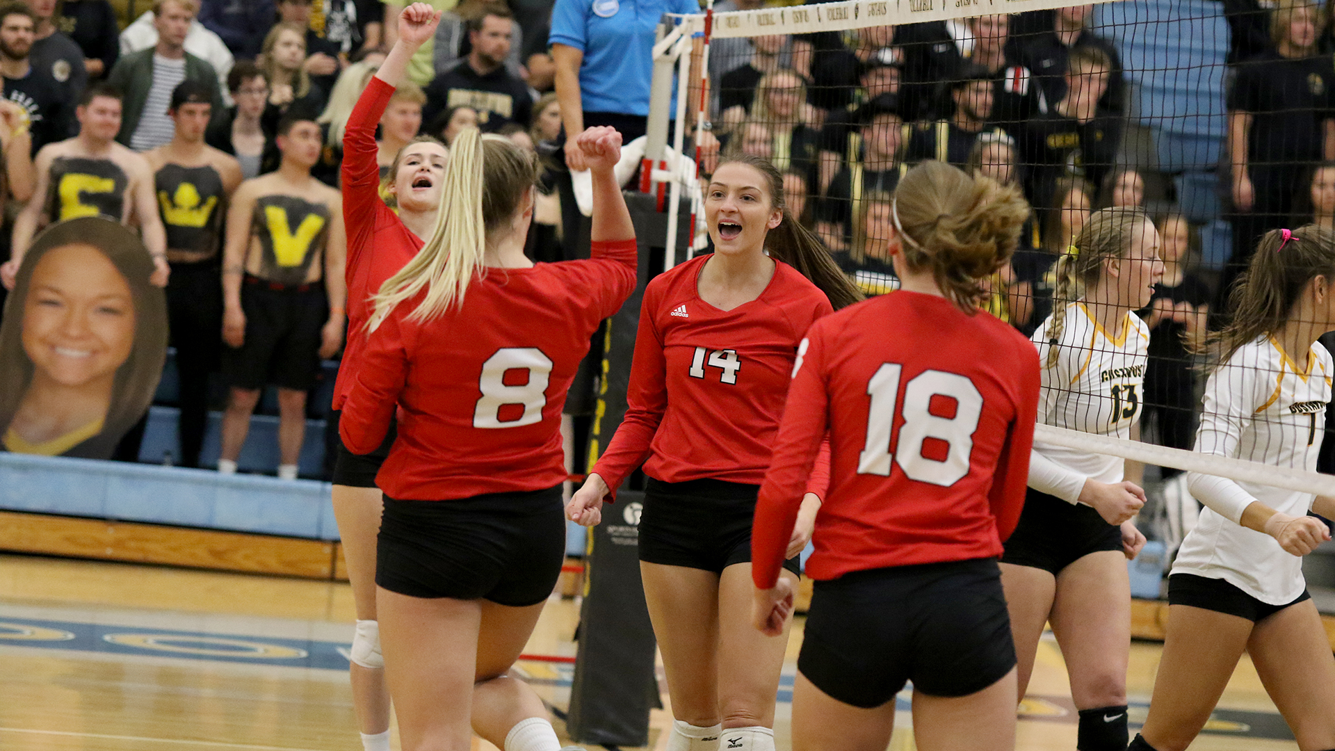 Lauren Mathews - Women's Volleyball - College of Saint Benedict Athletics