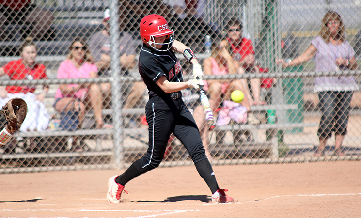 Kate Deming - Women's Softball - College of Saint Benedict Athletics