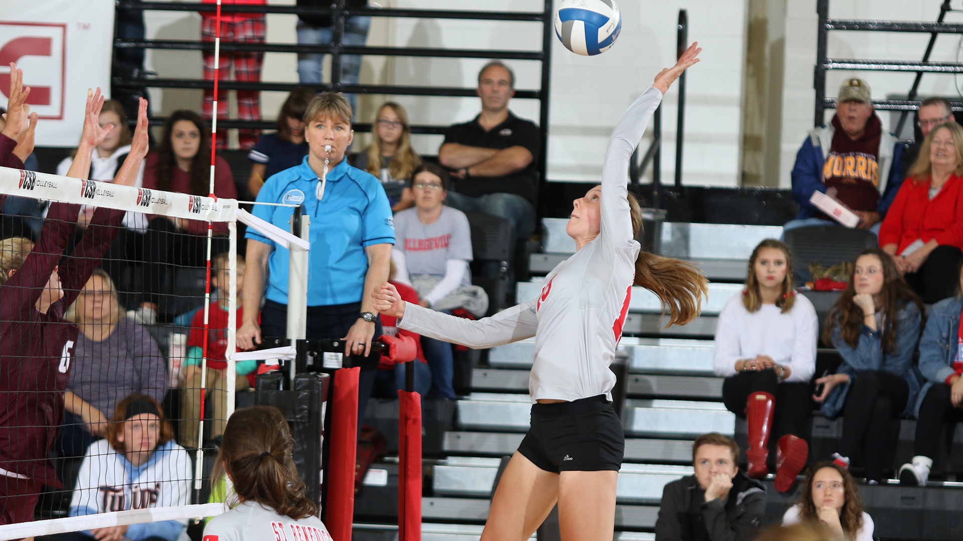 Hunter Weiss - Women's Volleyball - College of Saint Benedict Athletics