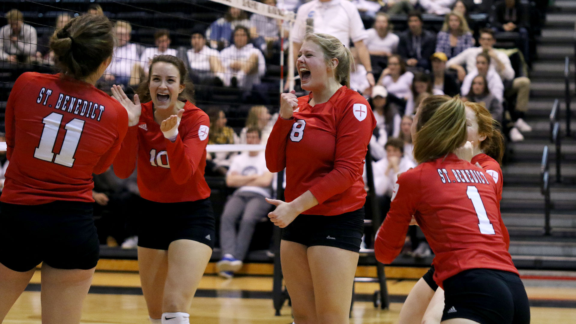 Emily Marso - Women's Volleyball - College of Saint Benedict Athletics