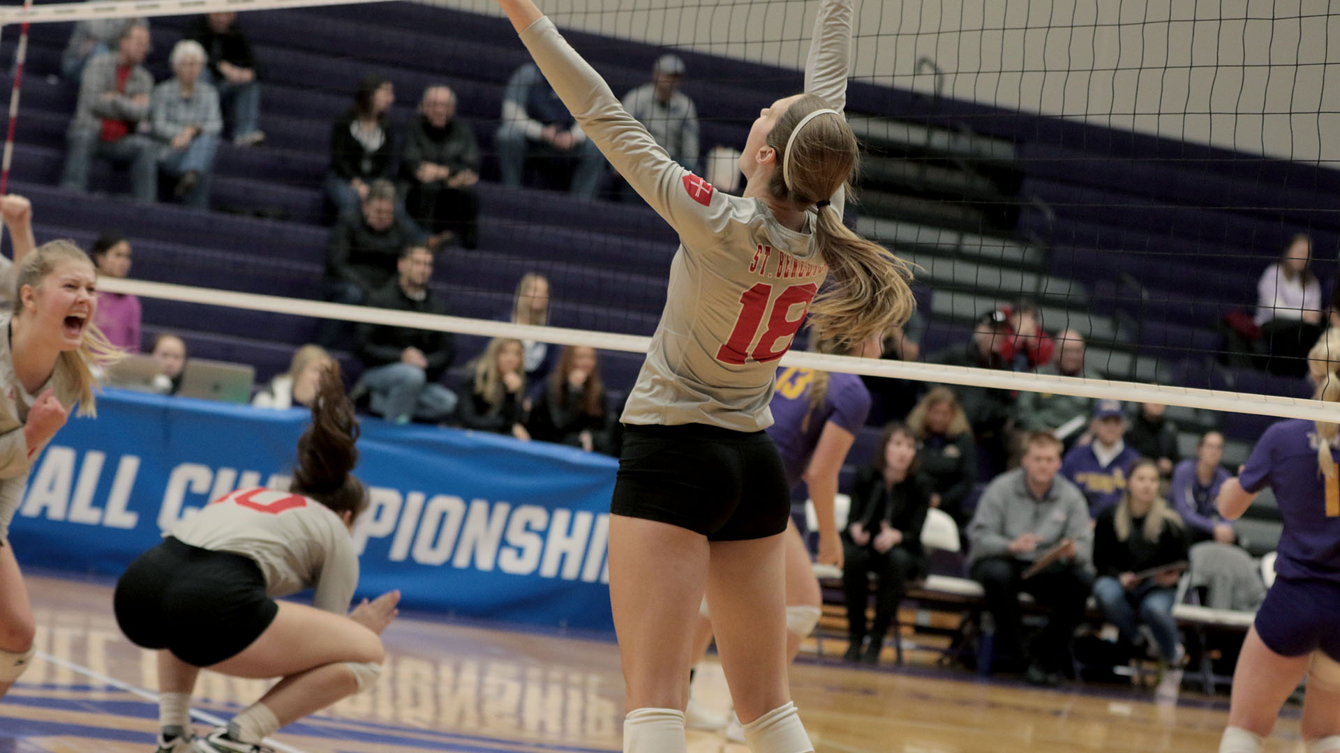 Hunter Weiss - Women's Volleyball - College of Saint Benedict Athletics