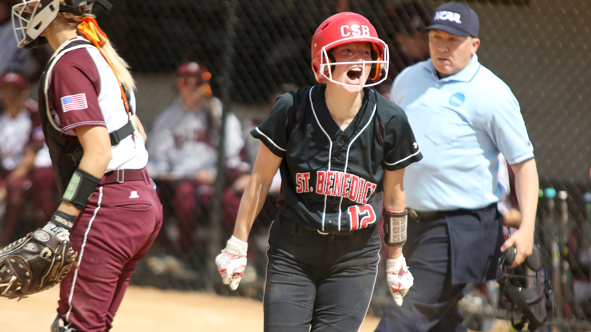 Kate Deming - Women's Softball - College of Saint Benedict Athletics