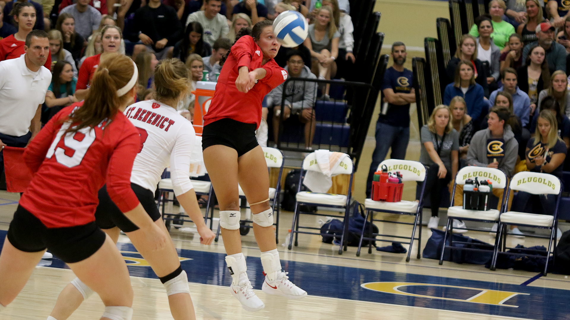Mary Wenisch - Women's Volleyball - College of Saint Benedict Athletics