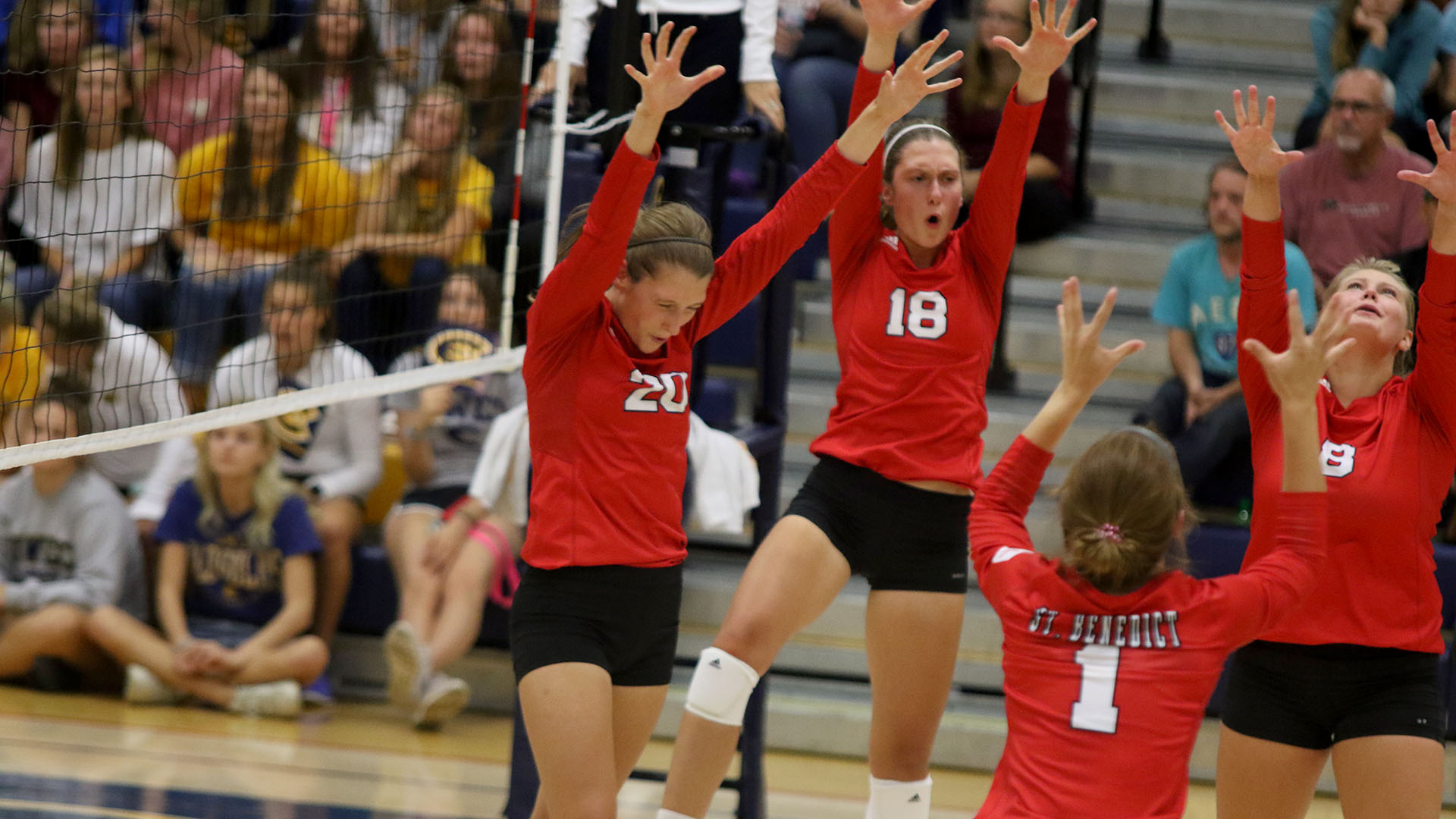 Hunter Weiss - Women's Volleyball - College of Saint Benedict Athletics