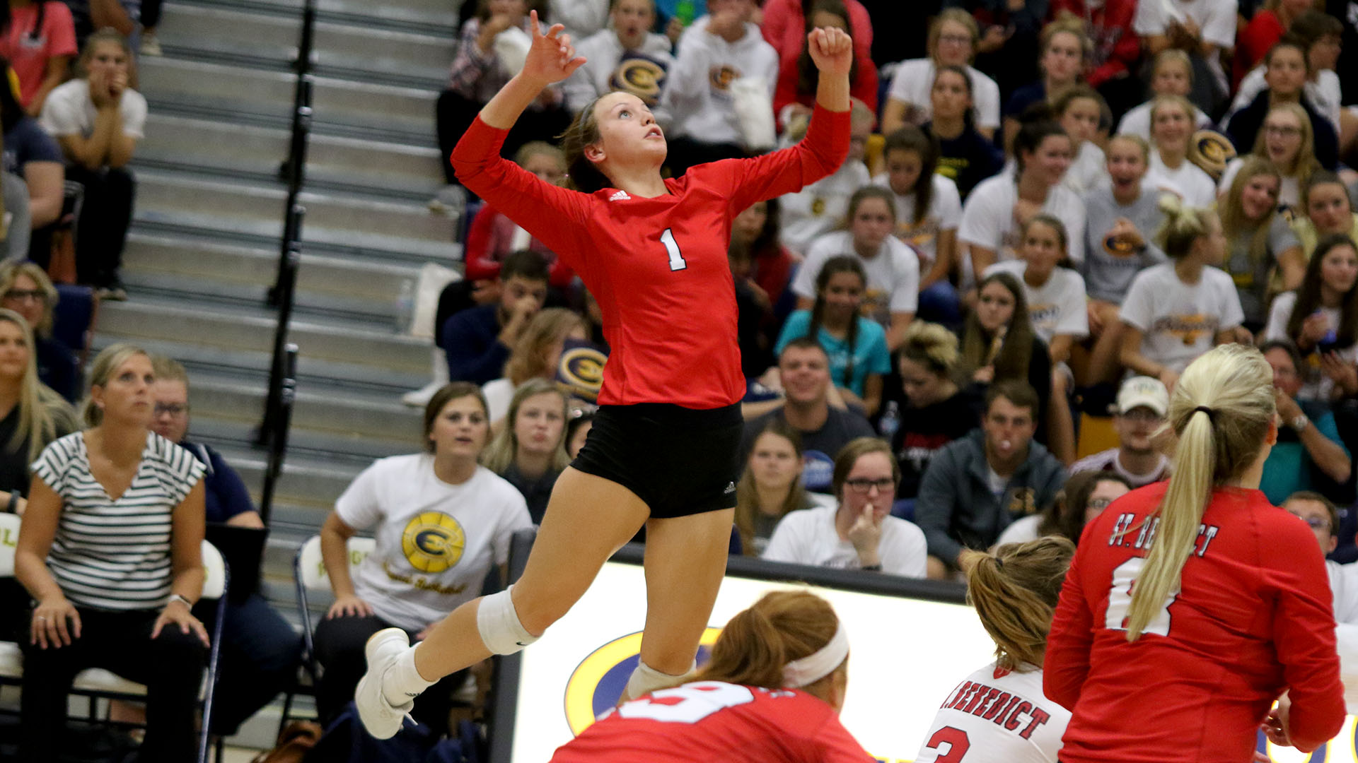 Maurissa Isaacs - Women's Volleyball - College of Saint Benedict Athletics