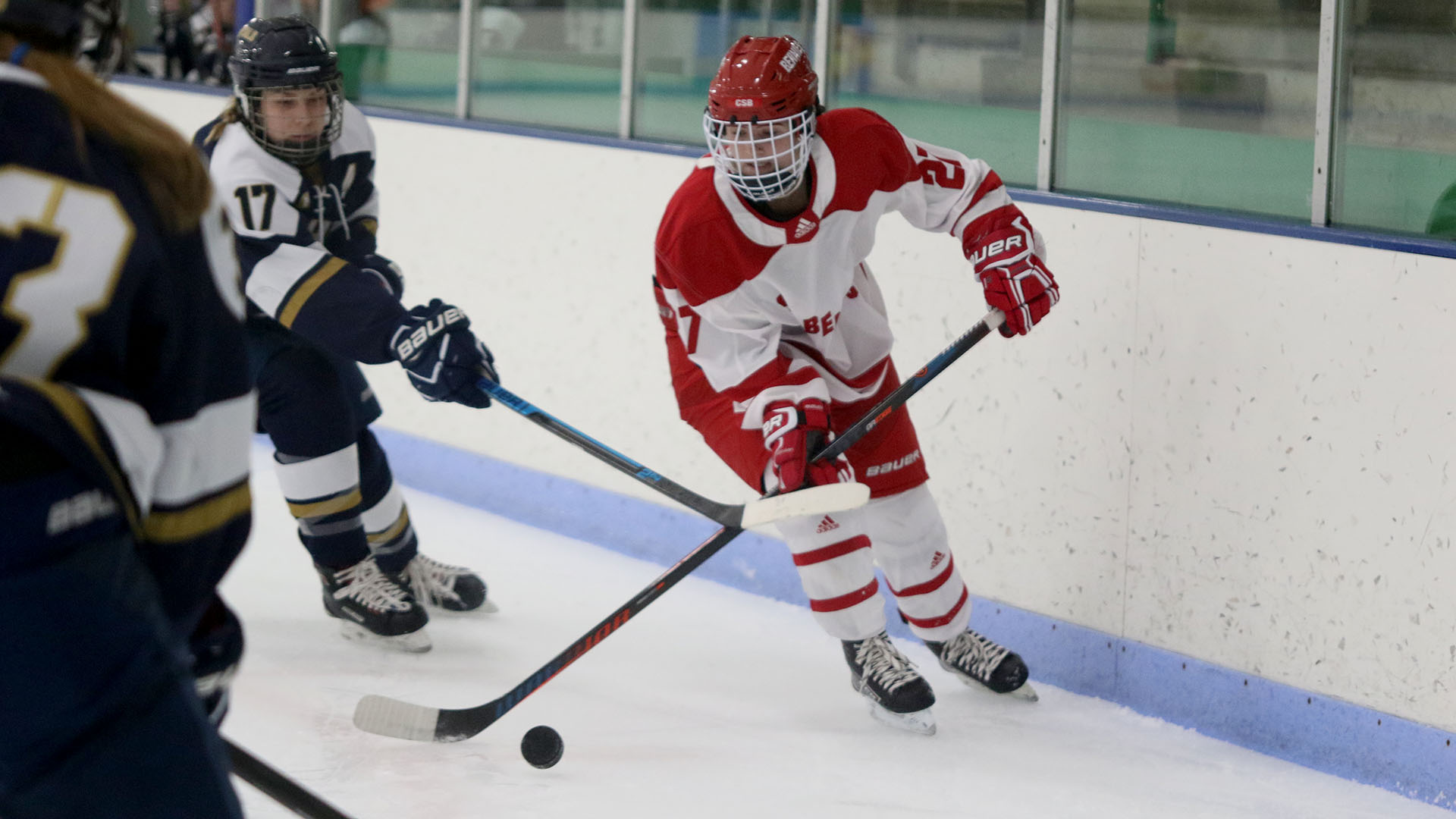 Emily Lemker - Women's Hockey - College of Saint Benedict Athletics