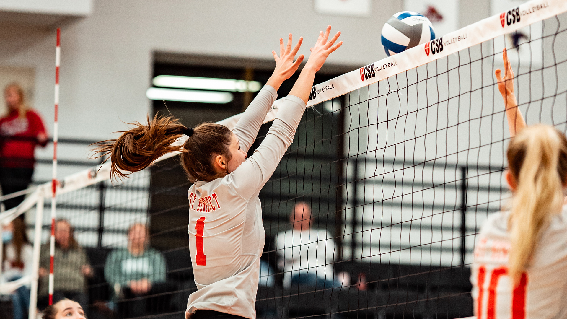 Madelyn Gregory - Women's Volleyball - College of Saint Benedict Athletics