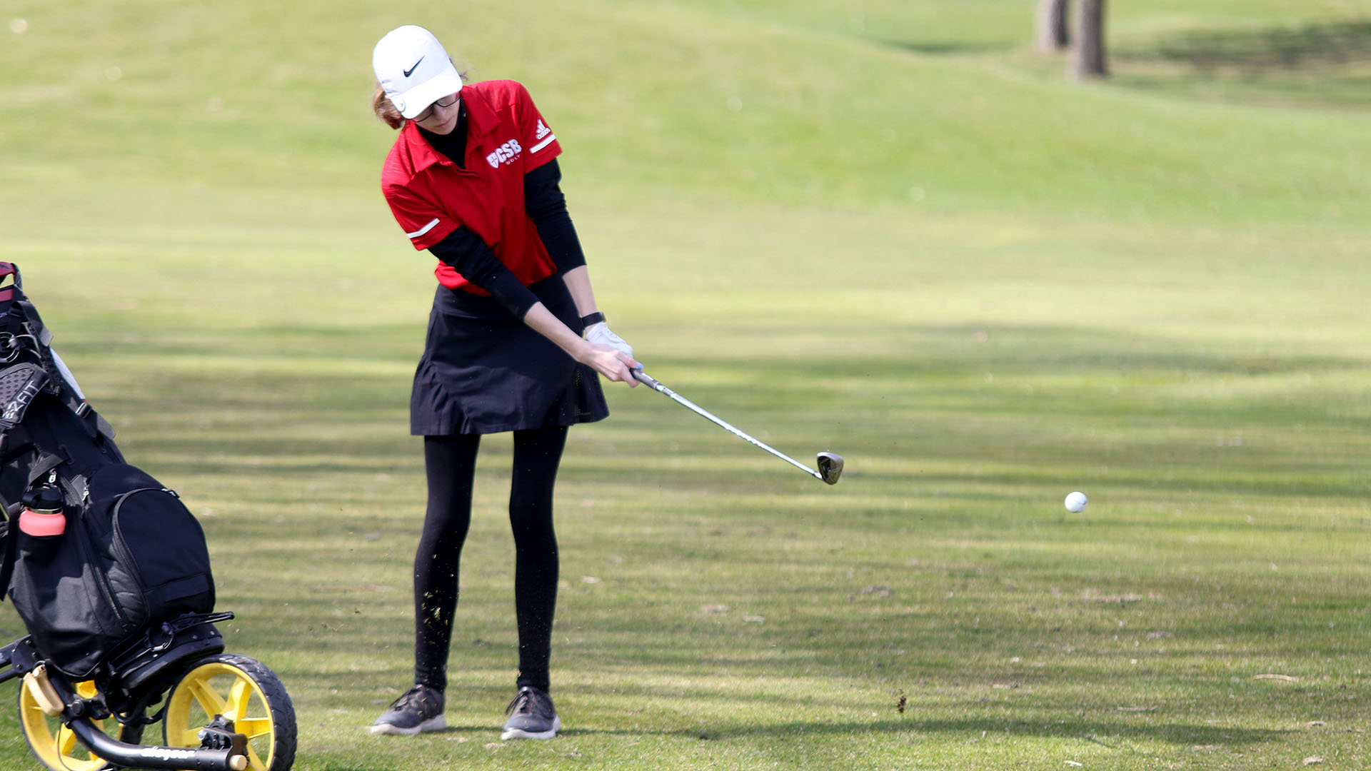Grace Hillemeier - Women's Golf - College of Saint Benedict Athletics