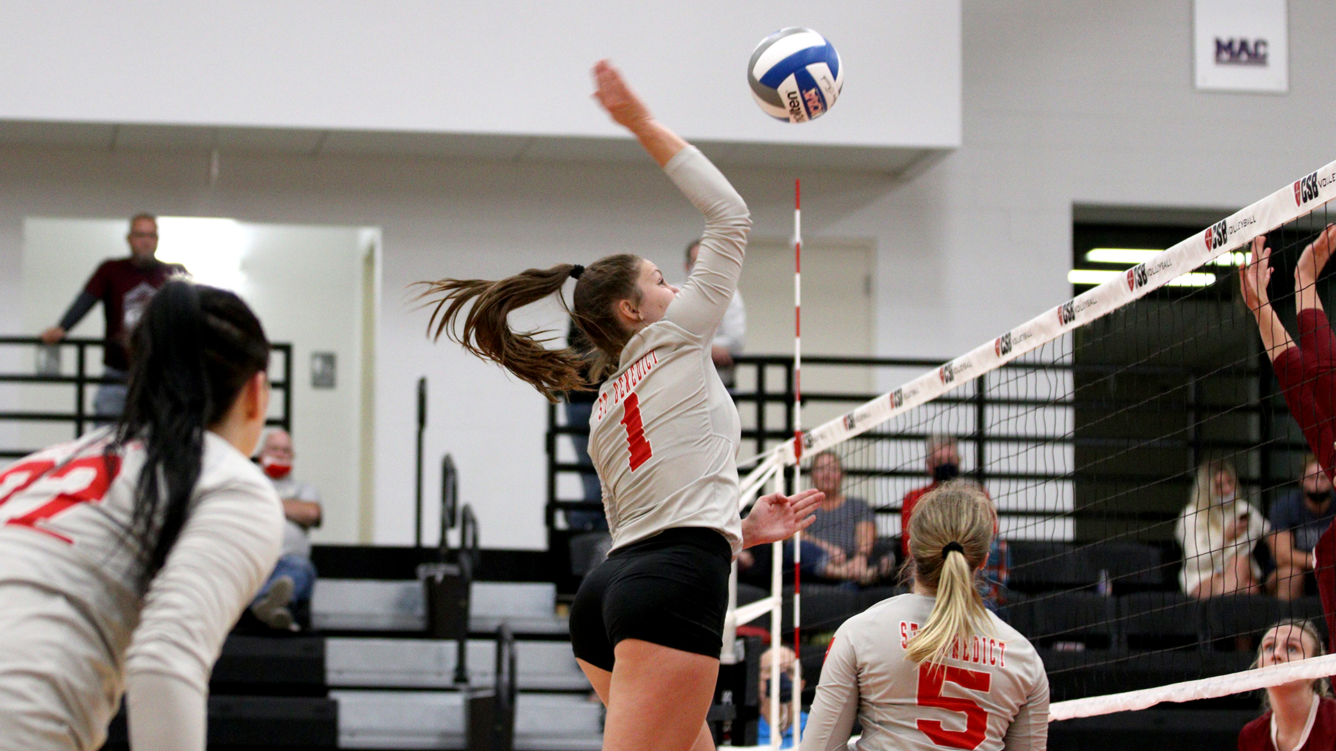 Madelyn Gregory - Women's Volleyball - College of Saint Benedict Athletics