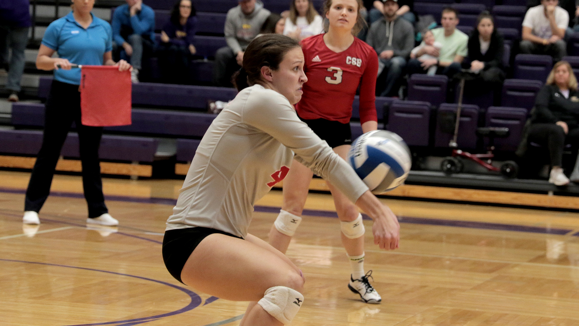 Mary Wenisch - Women's Volleyball - College of Saint Benedict Athletics