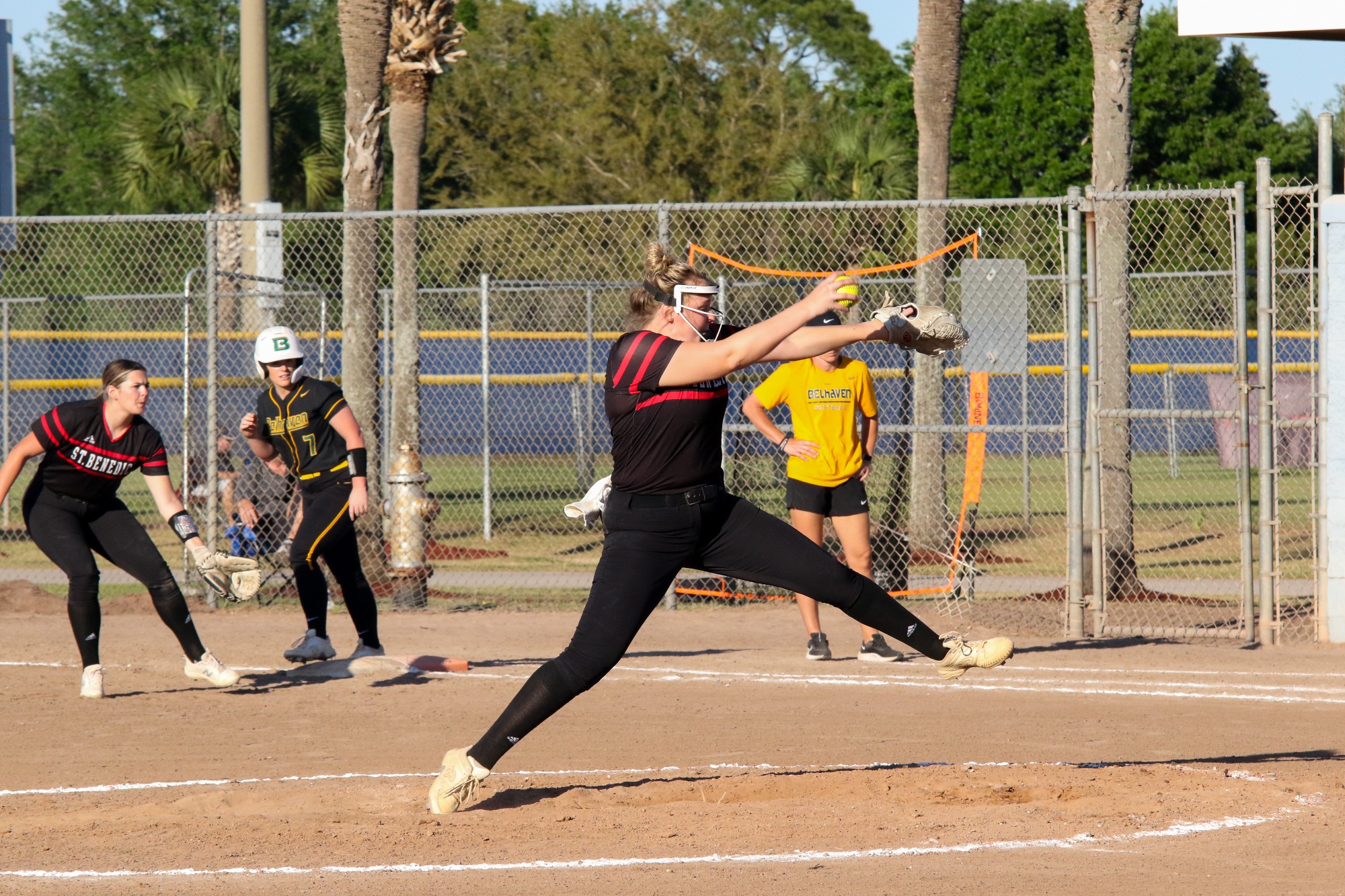 Peterson, Novak and Spencer lead No. 14 CSB Softball to home sweep over ...