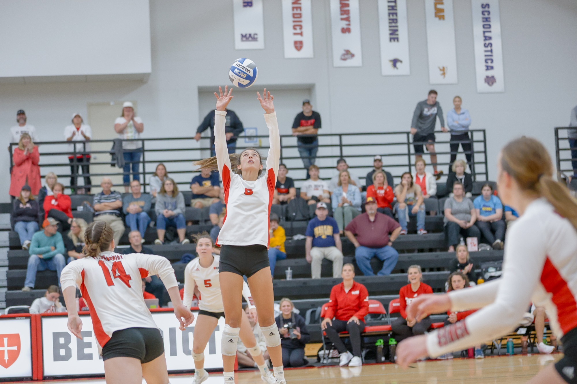 Spolidoro and Guest lead CSB Volleyball to 3-2 win over No. 7 ...