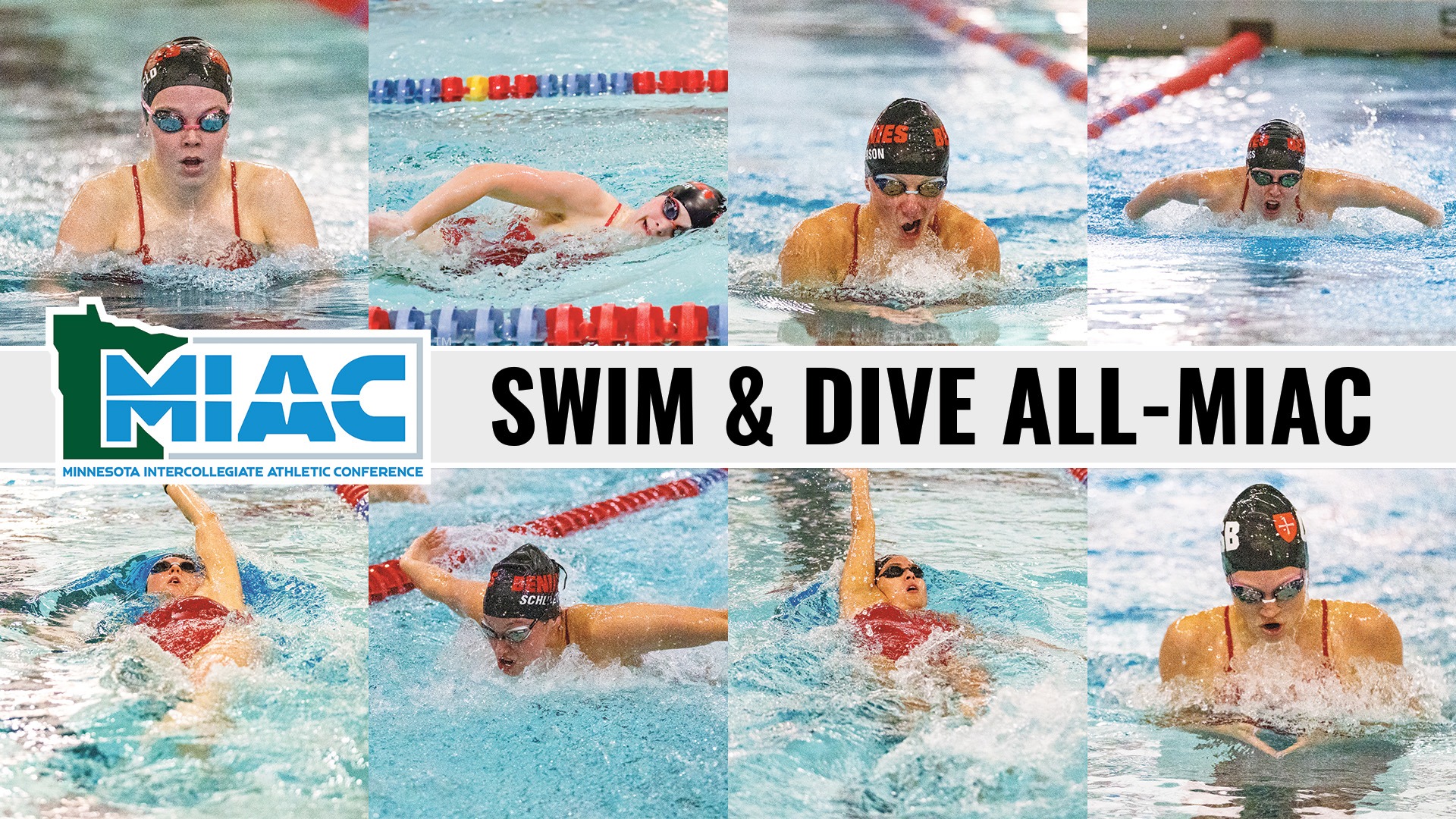 For the 13th straight year, CSB Swim & Dive named CSCAA Scholar All ...
