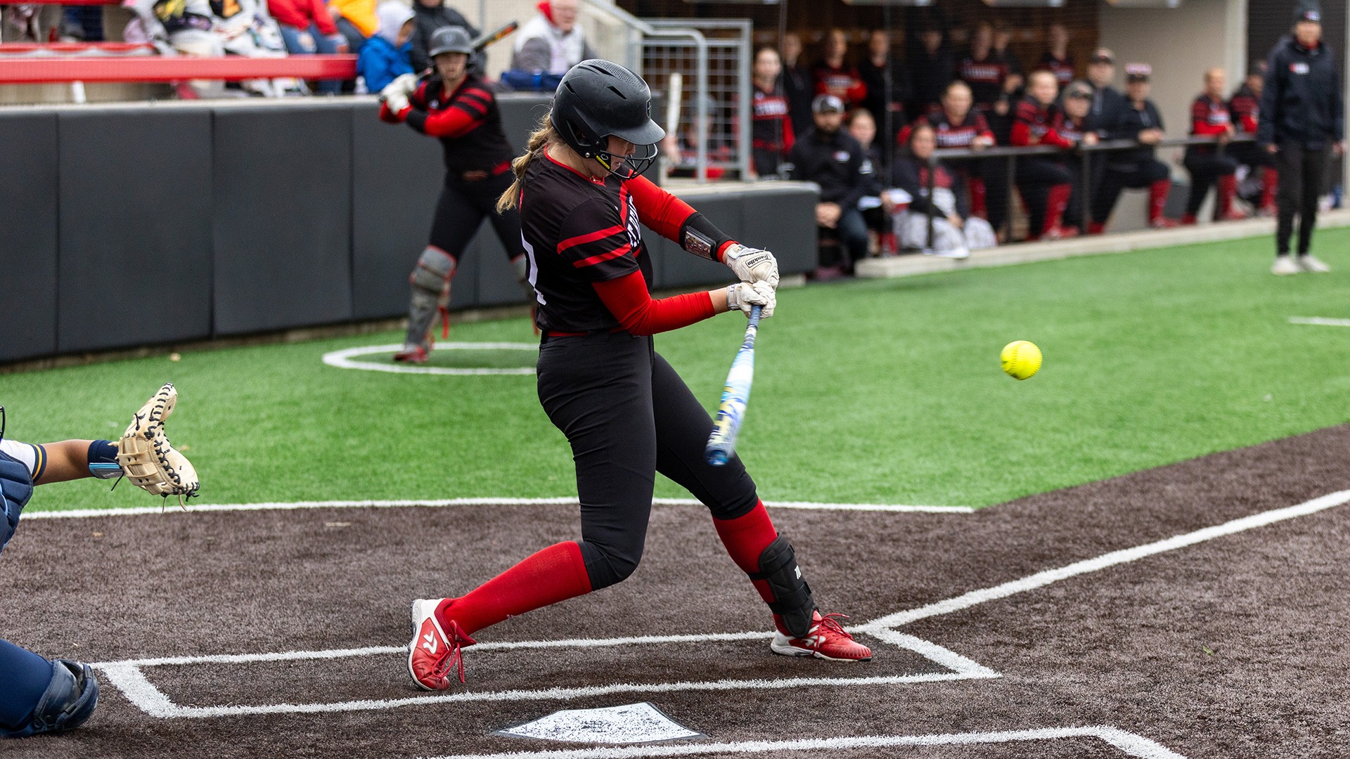 Peterson wins 12th straight decision as CSB Softball earns split of DH ...