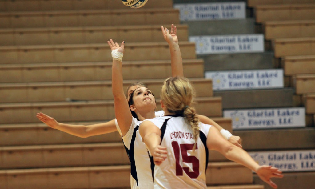 Alyssa Bauer - Volleyball - Chadron State College Athletics
