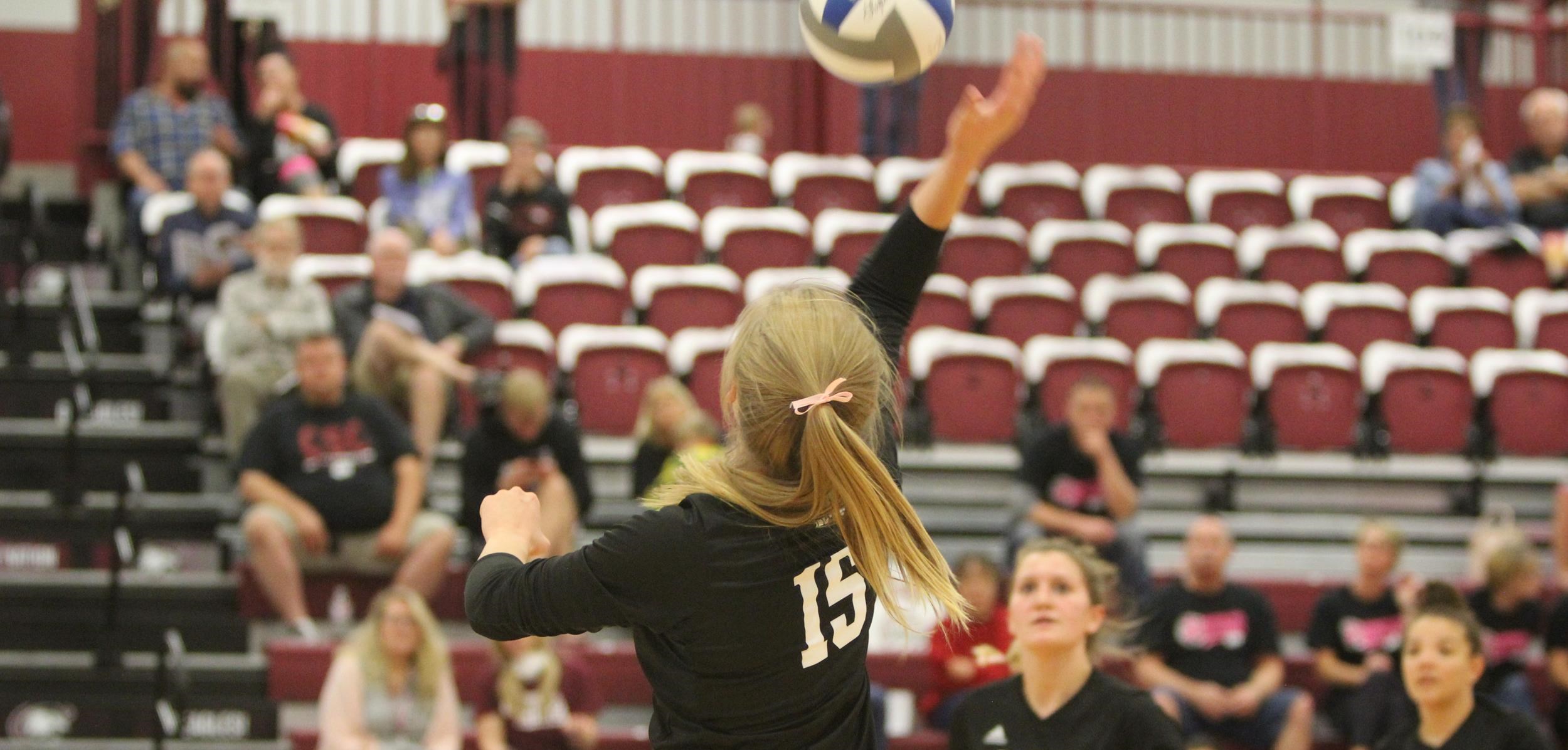 Micaiah Vrbka - Volleyball - Chadron State College Athletics