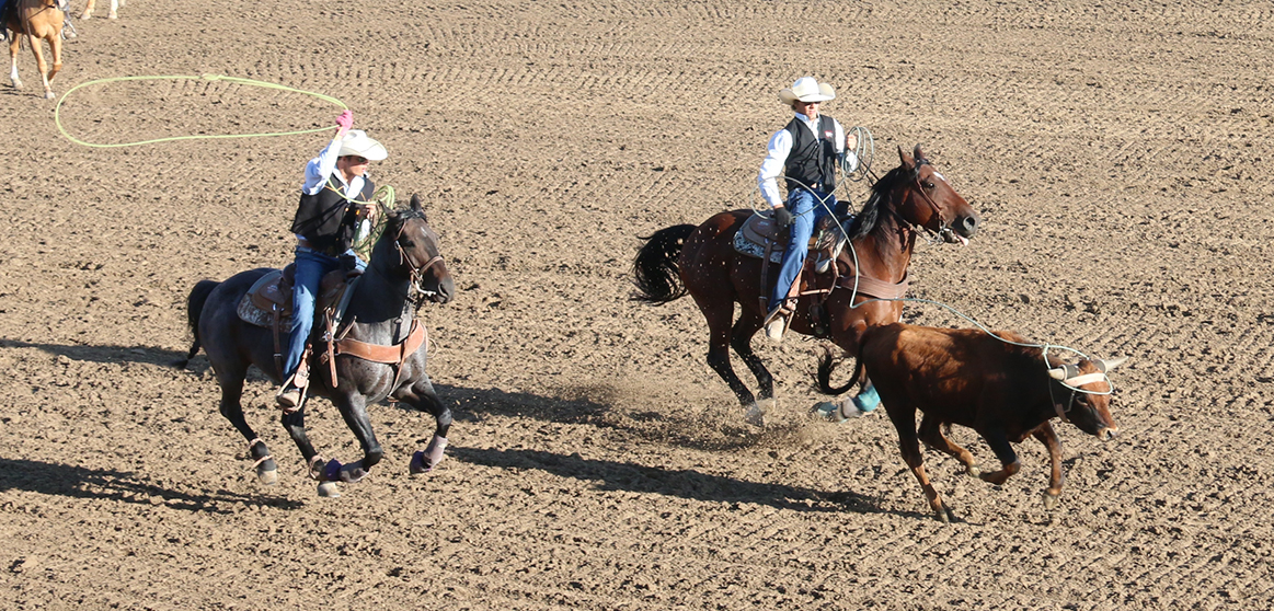 Chasek twins win team roping title - Chadron State College Athletics