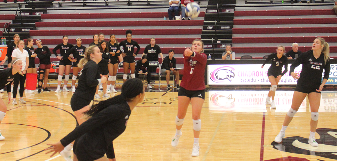 Abby Schaefer - Volleyball - Chadron State College Athletics