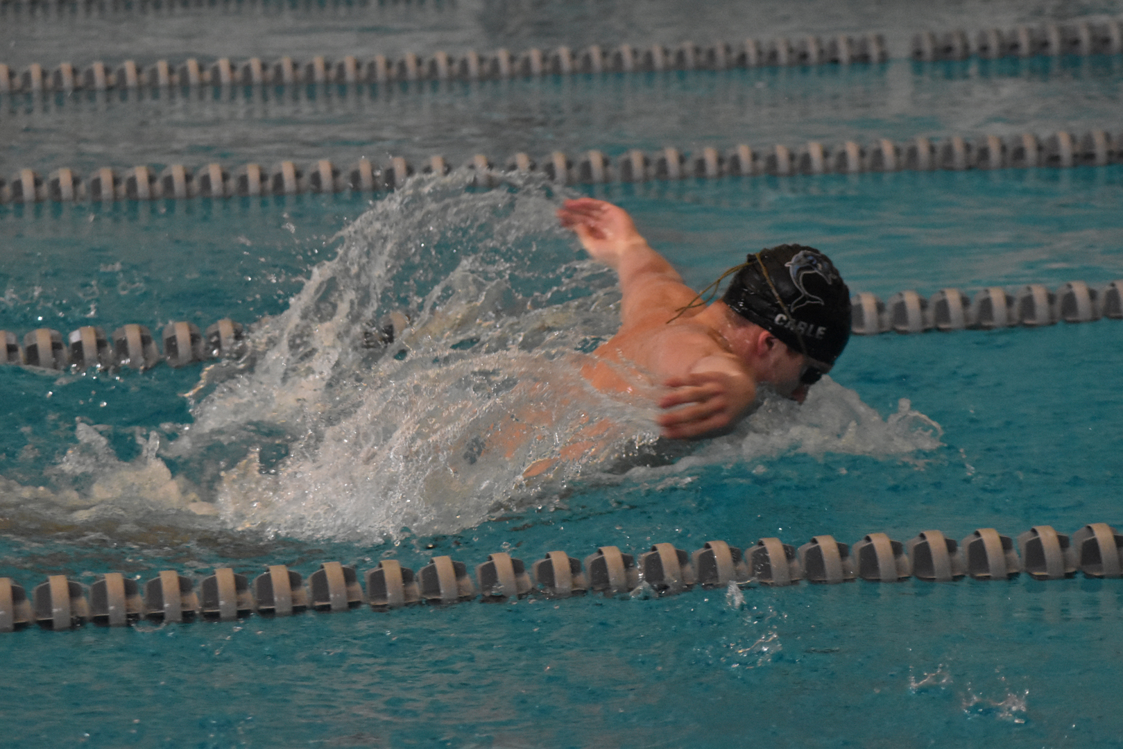Peter Carle - Men's Swimming & Diving - College of Staten Island Athletics