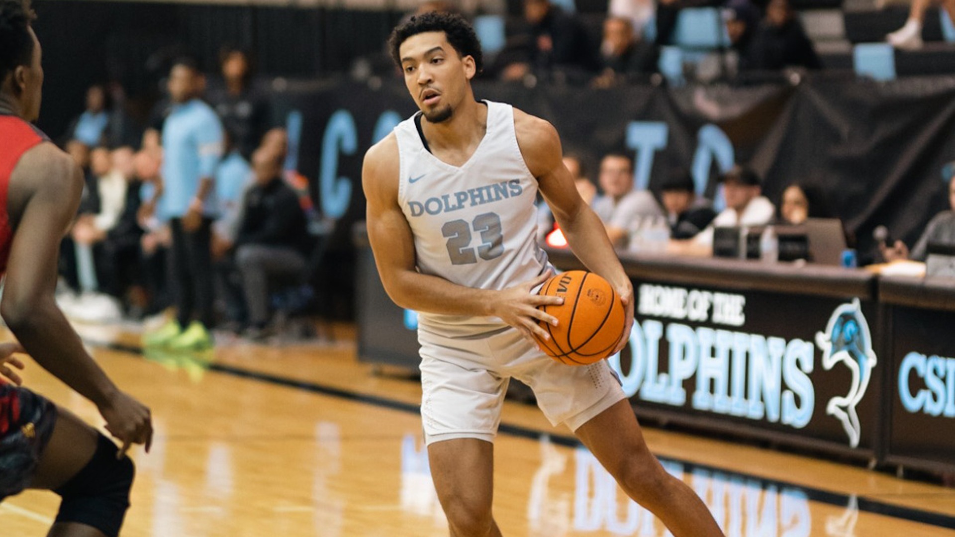 STIFLING DEFENSE AND 29-POINT EFFORT FROM MALLORY POWER DOLPHINS PAST ...