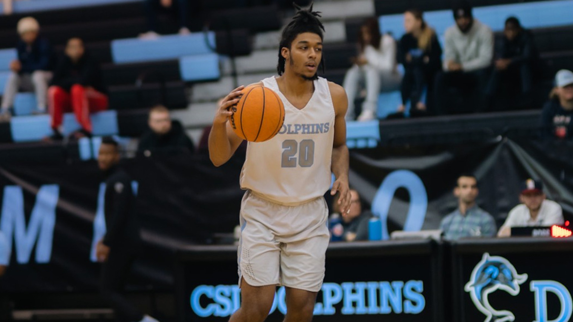 DOLPHINS FALL JUST SHORT AGAINST DAEMEN AS CHESTNUT SCORES CAREER-HIGH ...