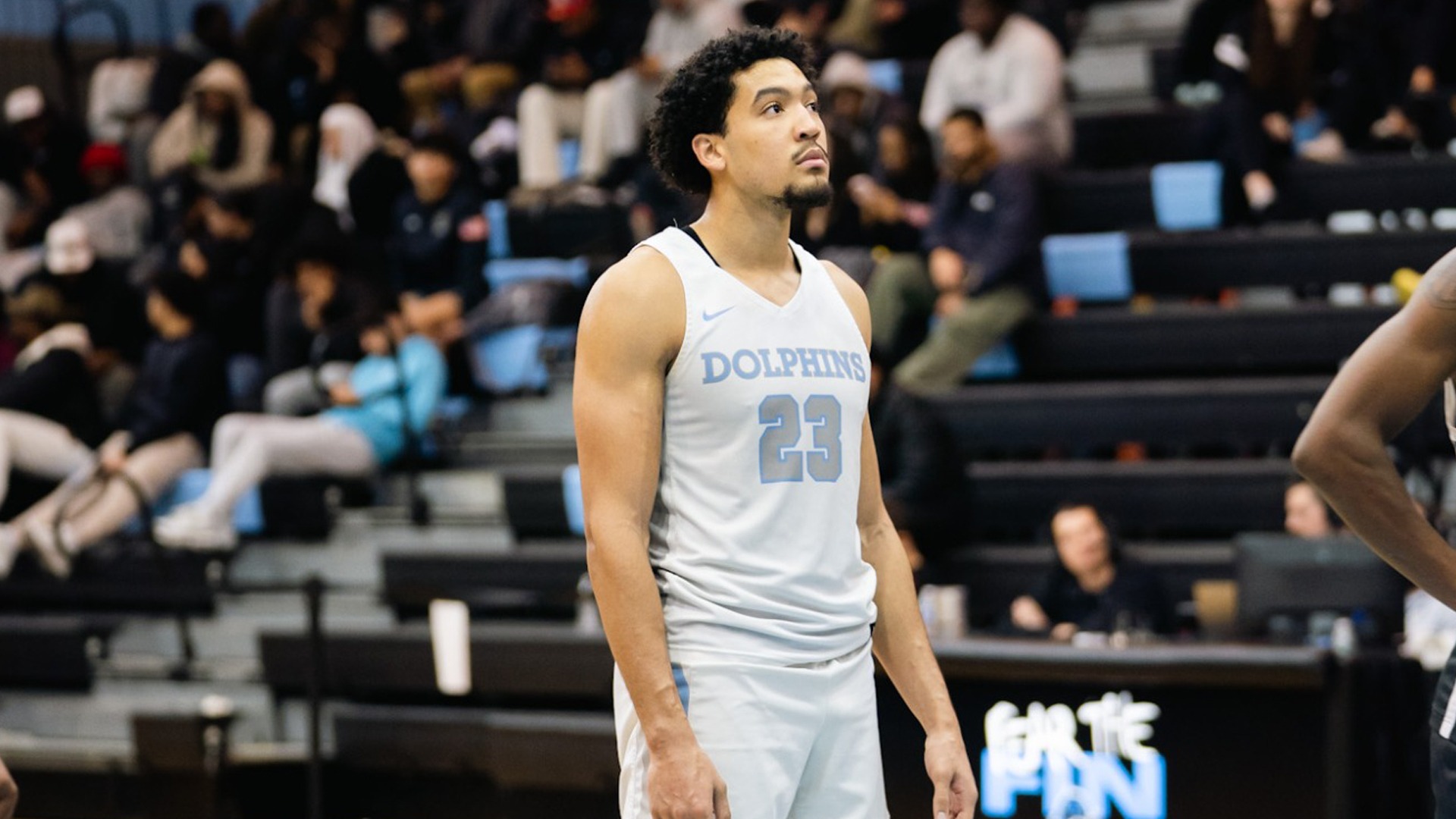 DOLPHINS SETTLE FOR SPLIT OF SEASON SERIES WITH MOLLOY FOLLOWING 77-57 ...