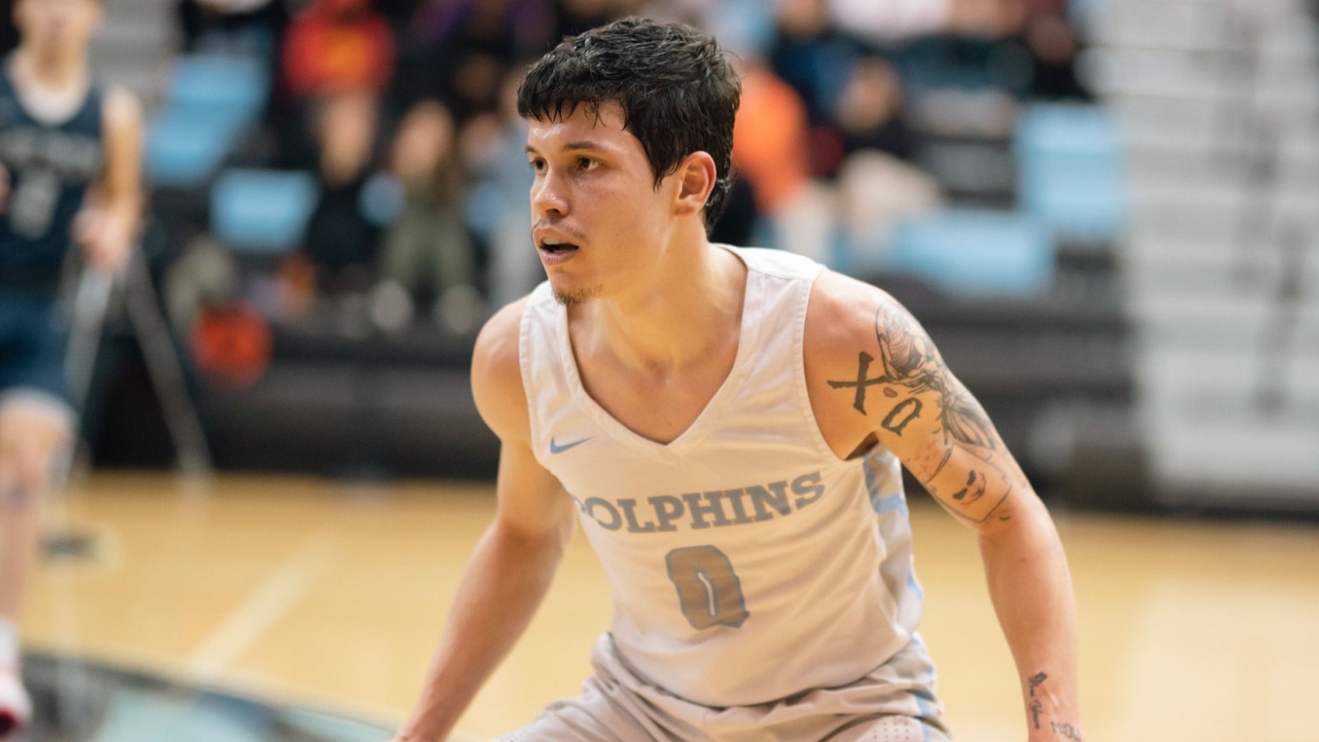 DOLPHINS DROP NON-CONFERENCE FINALE AT NEW HAVEN - College of Staten ...