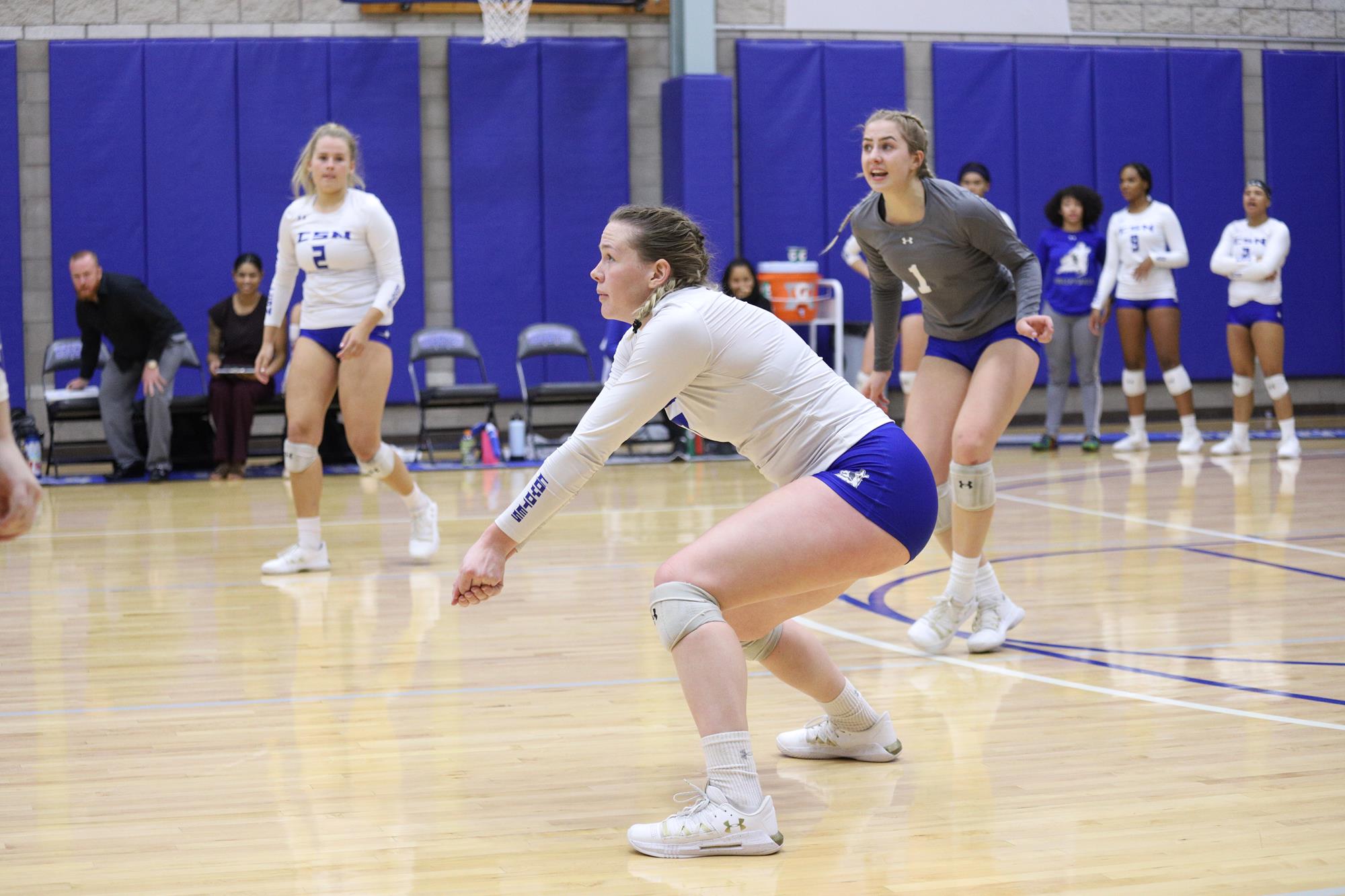 Sierra Sullivan - Volleyball - College of Southern Nevada Athletics