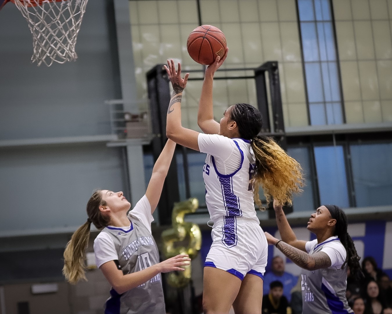 ACCAC Women's Basketball Playoffs Preview: CSN Coyotes vs. Arizona ...