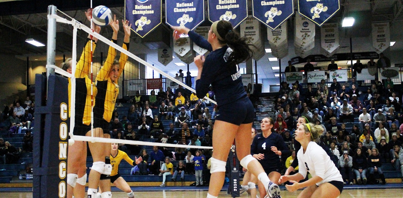 Ashley Murtha - Volleyball - Concordia University, St. Paul Athletics