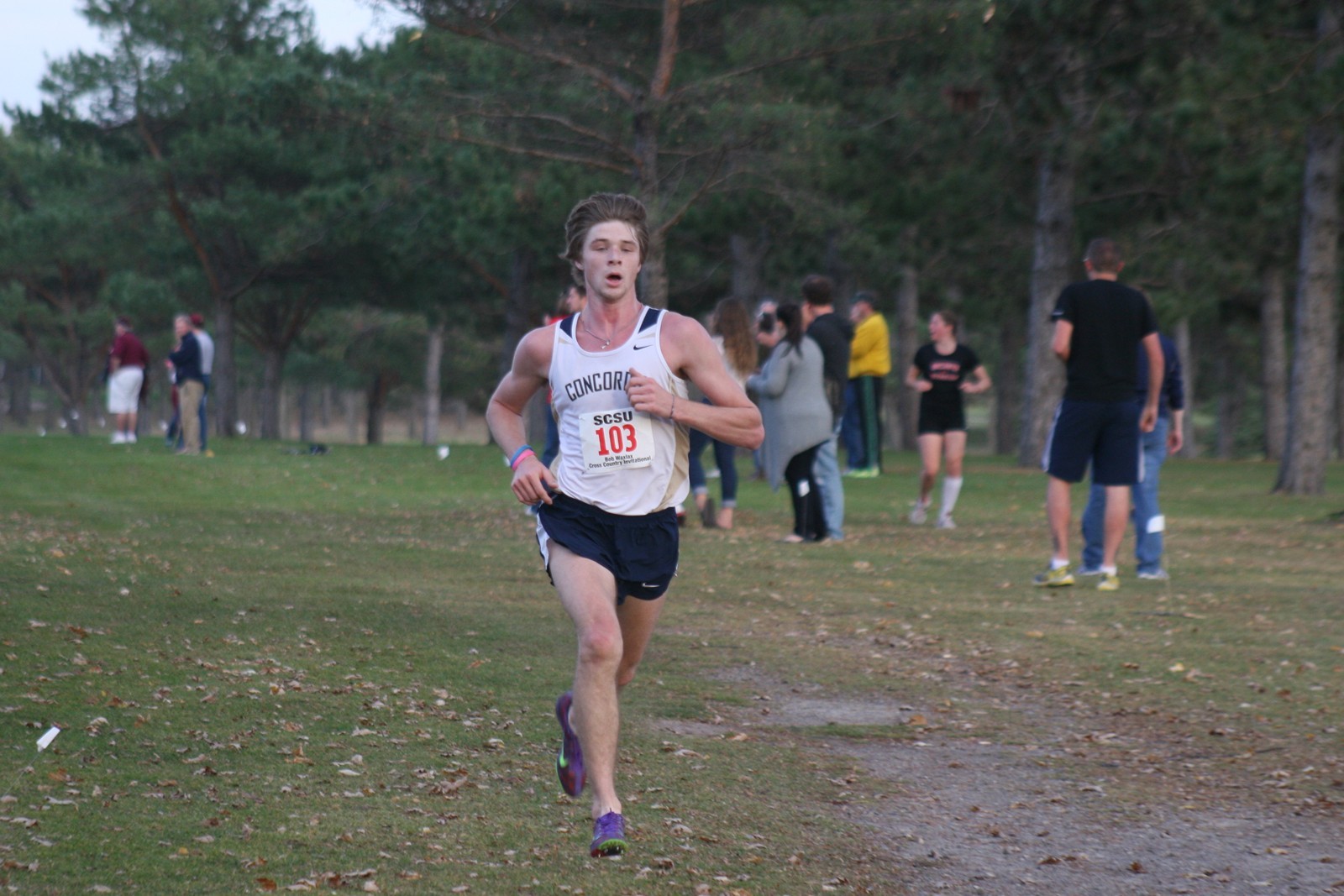 Tyler Karl - Men's Cross Country - Concordia University, St. Paul Athletics