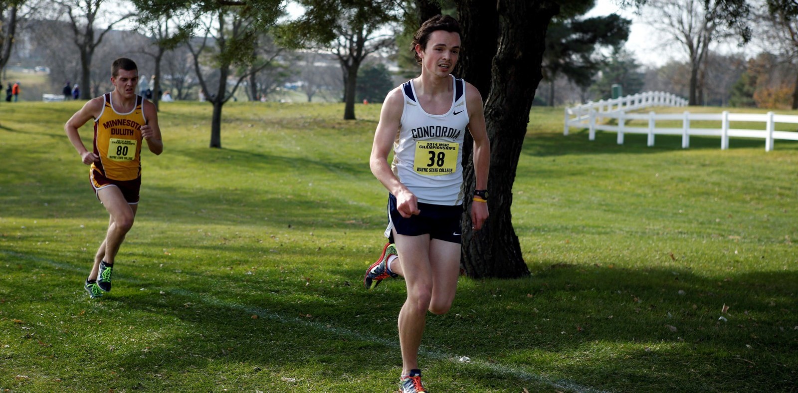 Sam Anderson - Men's Cross Country - Concordia University, St. Paul ...