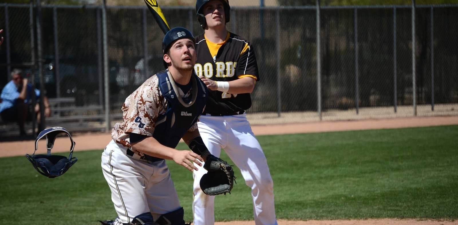 David Henke - Baseball - Concordia University, St. Paul Athletics