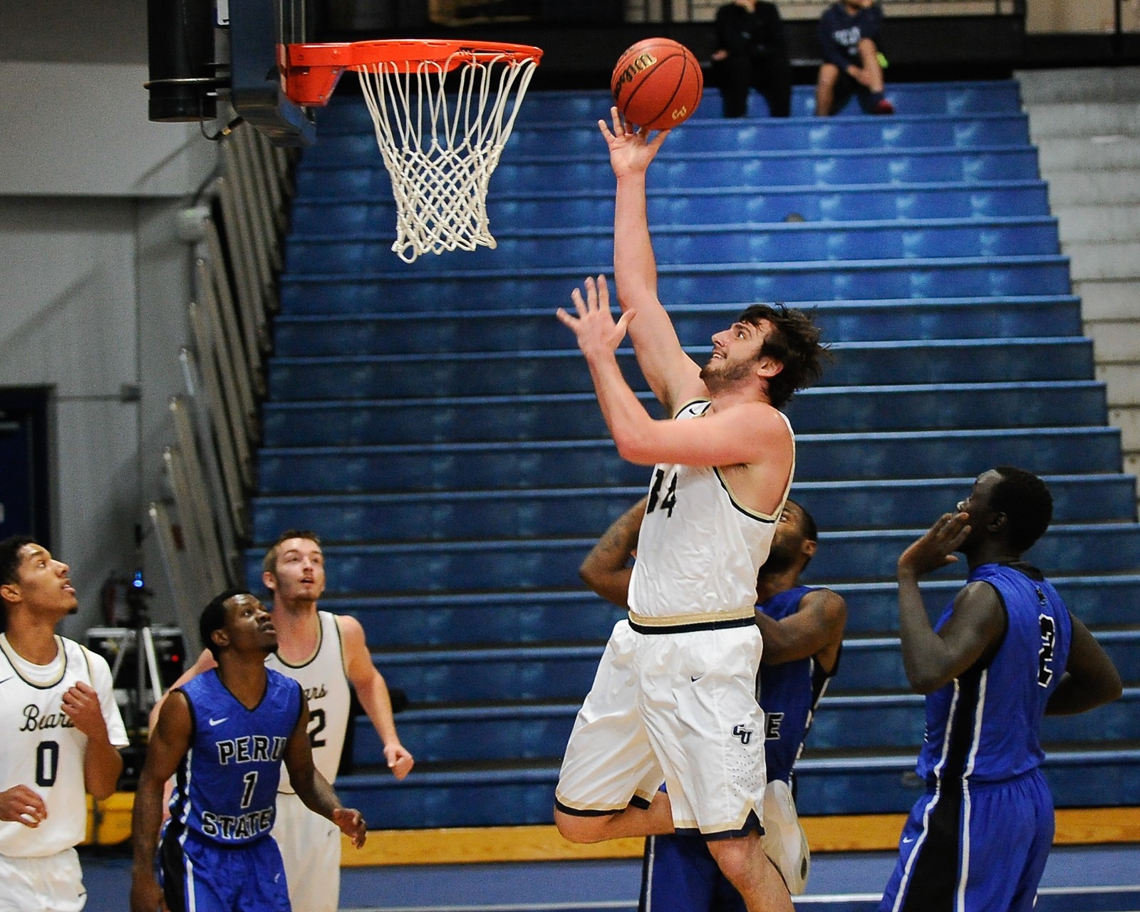 Shea Mandli - Men's Basketball - Concordia University, St. Paul Athletics