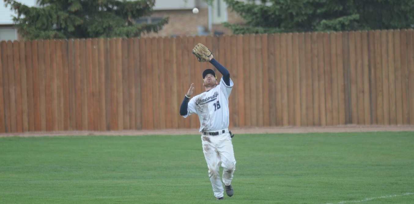 Tyler Krekling - Baseball - Concordia University, St. Paul Athletics